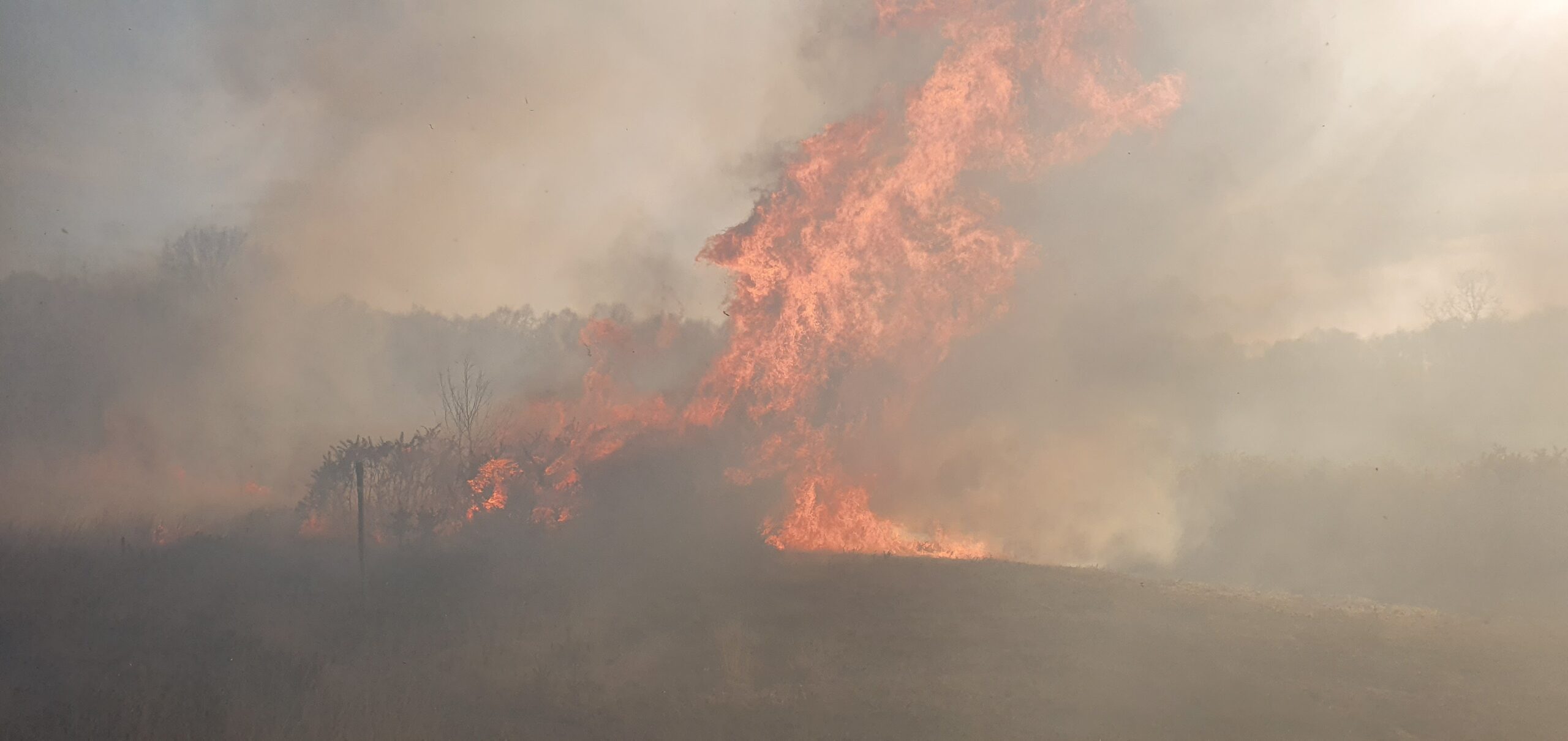 Wildfires position statement - NFCC